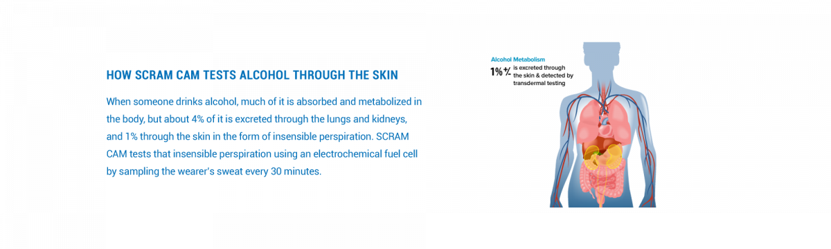 SCRAM Continuous Alcohol Monitoring - Total Court Services | Ignition ...